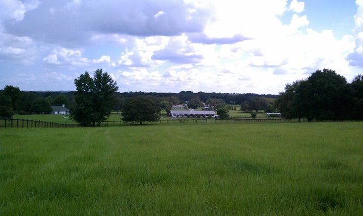 carouselfarm-grassandbarn | Horse Boarding and Riding Lessons ...
